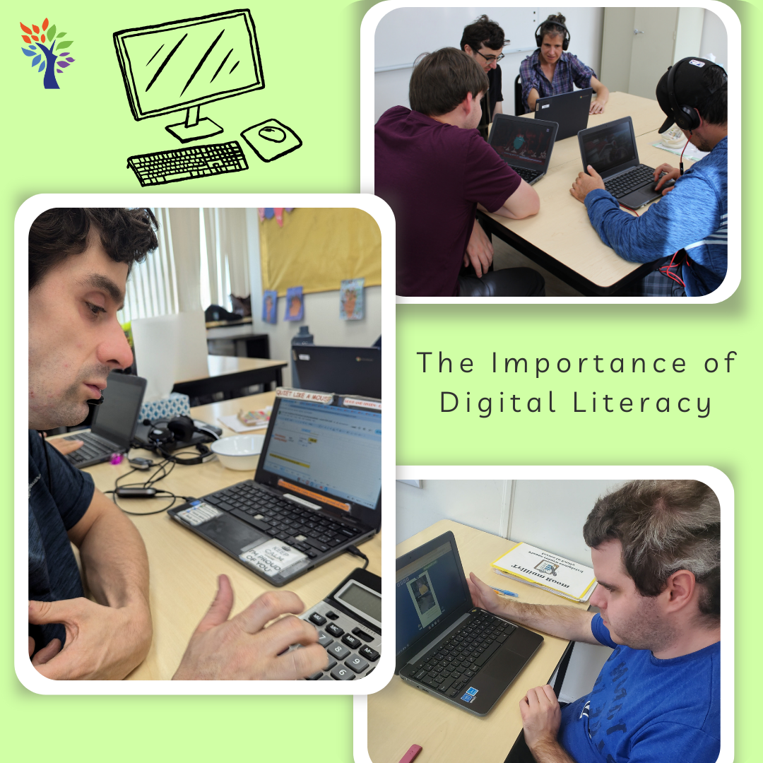 Digital Literacy Empowers Adults with Intellectual Differences